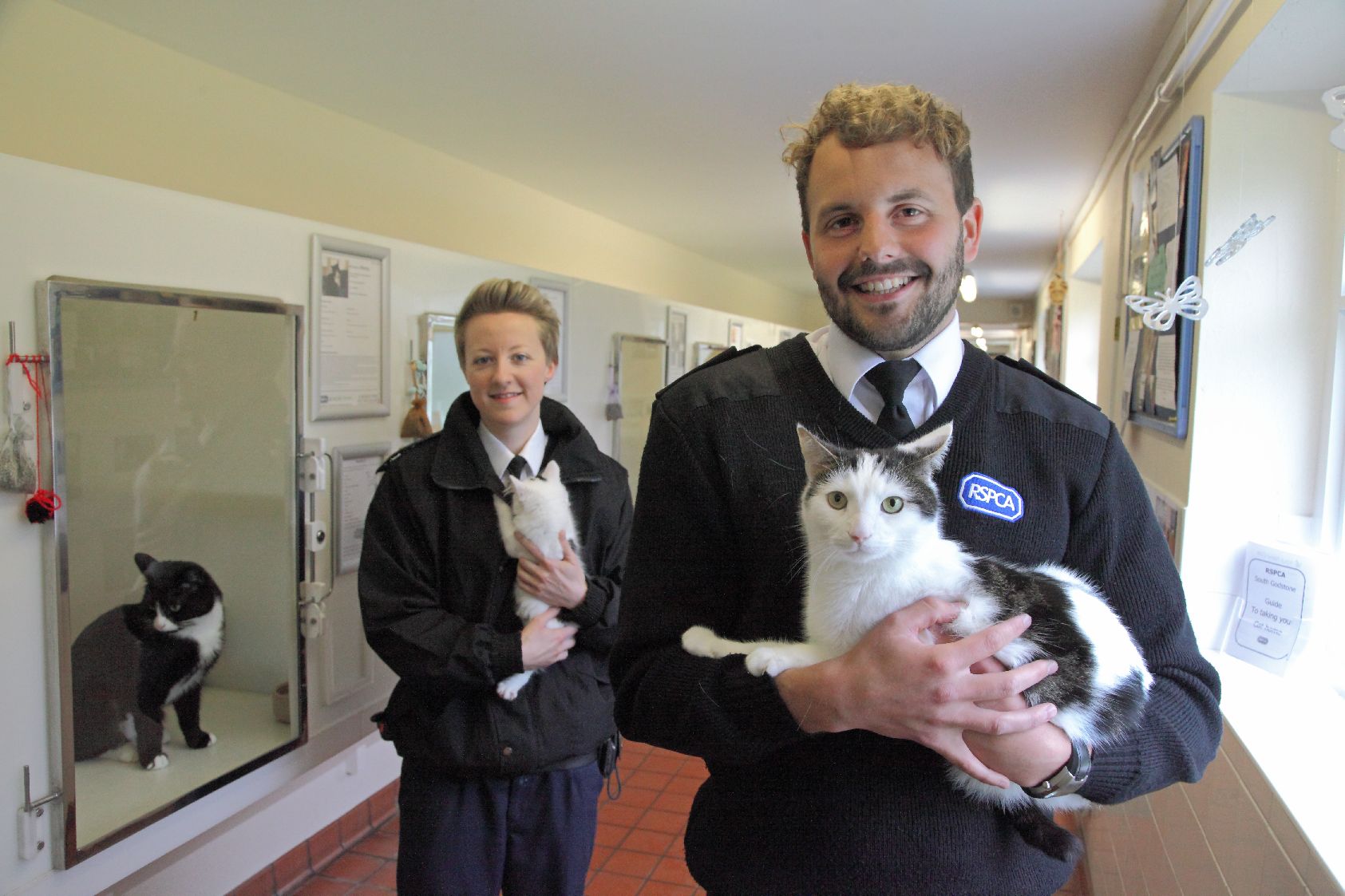 Collaborating for eLearning success at the RSPCA - The Charity Learning ...